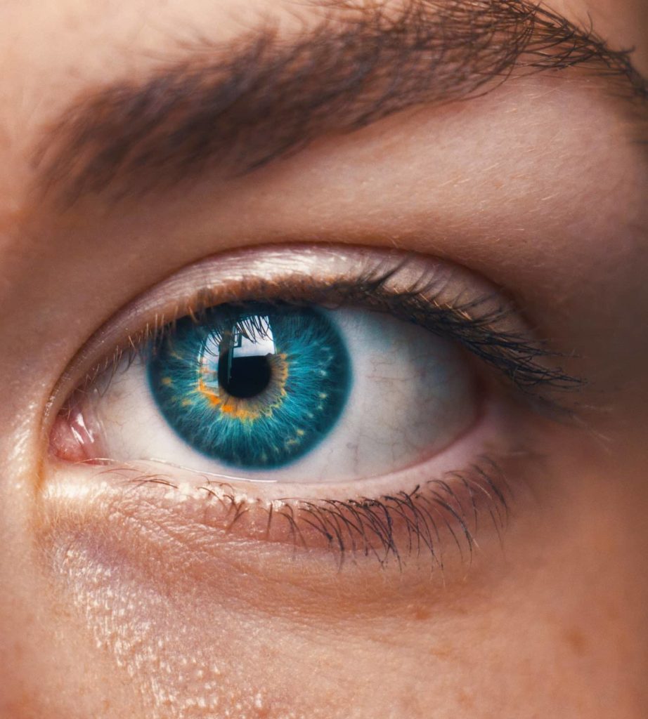 The Portraits – Sabrina Dion